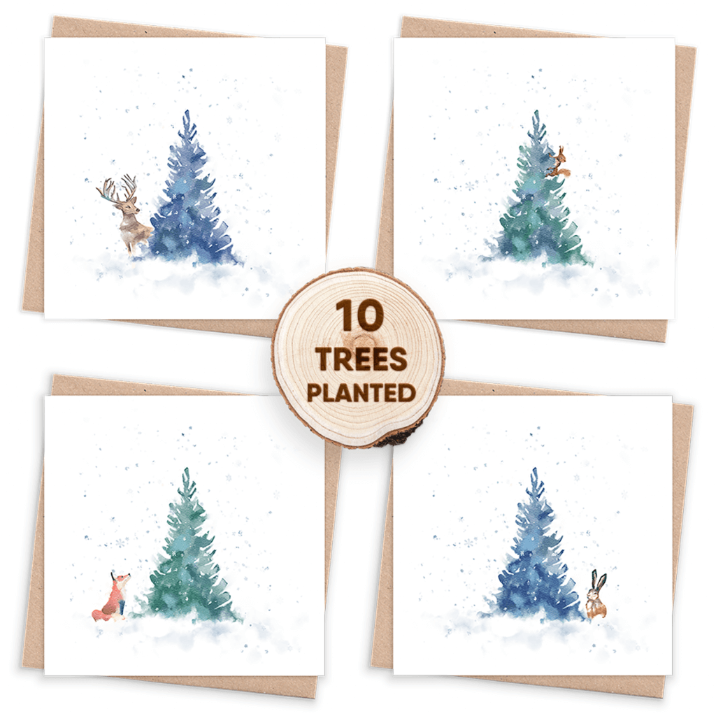 Tree Wishes Festive 10 Pack | 1 Tree Cards | 10 Trees Planted | Seed ...