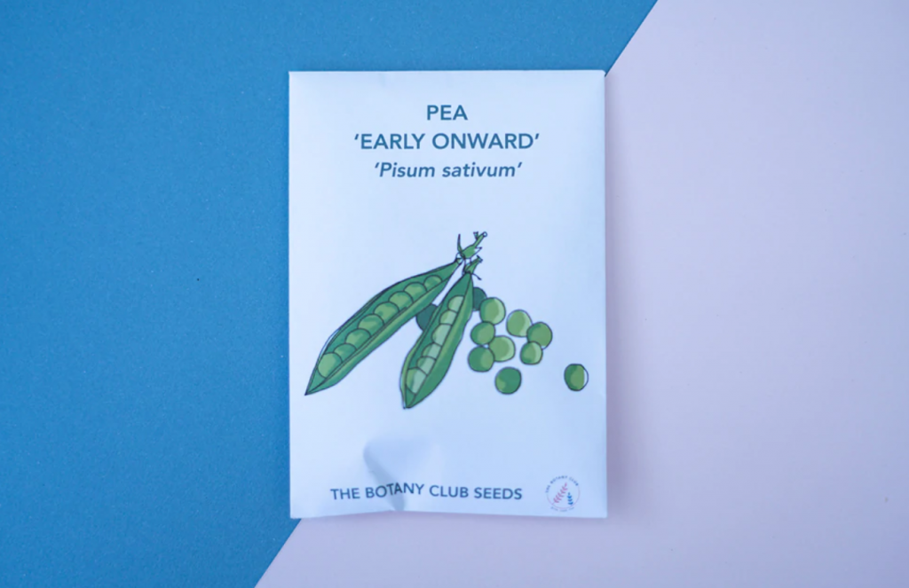 Pea 'Early Onward' Seeds | The Botany Club • ecomersh.