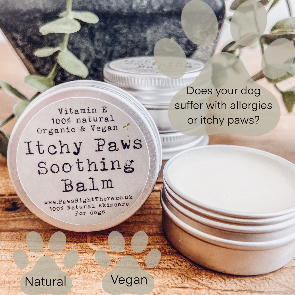 Itchy Paws | Paws Balm | Paws Right There • ecomersh.